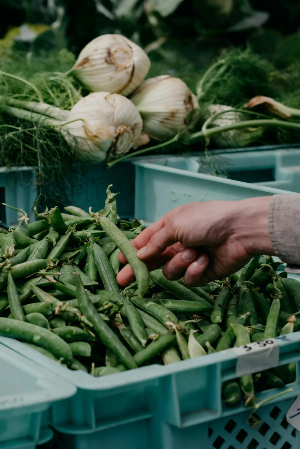 The Ultimate Guide to Cooking with Seasonal Produce